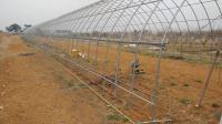 China Four Seasons Plastic Film Greenhouse For Temperature Variations Anti Aging UV Resistant for sale