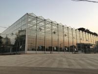 China Venlo Transparent Glass Multi Span Greenhouses With High Light Transmission for sale