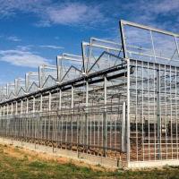 China Venlo Type Glass Greenhouse With Aquaponics Ventilation System for sale