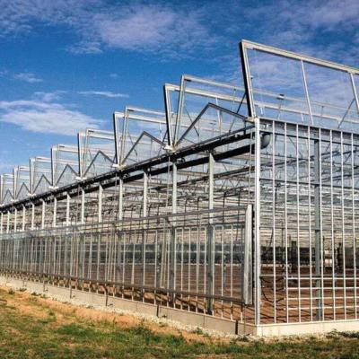 China Galvanized Steel Skeleton Glass Greenhouse With Photovoltaic Panel for sale
