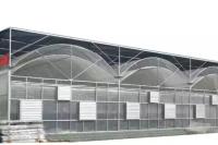 China Double Layer PE Film Multi Span Film Greenhouse With Hydroponic System for sale