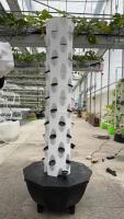 China PE / Food Grade PVC Cover Indoor Hydroponic Aeroponic Growing Towers for sale