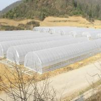 China Agricultural Galvanized Tunnel Greenhouse Plastic Tomato Greenhouse With Bolt Connection for sale