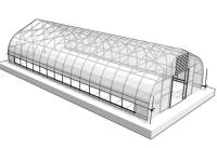China Agricultural Galvanized Tunnel Greenhouse Plastic Tomato Greenhouse With Bolt Connection for sale