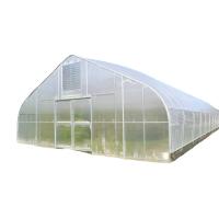China Plastic Film Tunnel Greenhouse Resists Corrosion Sharp Arch Gothic Greenhouse for sale