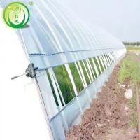 China Plastic Film Tunnel Greenhouse Resists Corrosion Sharp Arch Gothic Greenhouse for sale