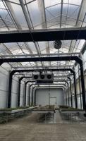 China 8m Wide PEP Film Automated Light Deprivation Greenhouse Top And Sides Ventilation for sale