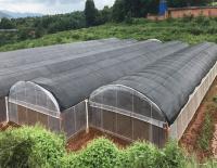 China 0.12mm-0.8mm UV Resistant Plastic Sheeting Greenhouse Anti Drip for sale