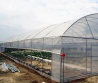 China 0.12mm-0.8mm UV Resistant Plastic Sheeting Greenhouse Anti Drip for sale