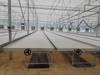 China Greenhouse Benching Systems Against Rust And Corrosion for sale