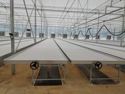 China Greenhouse Benching Systems Against Rust And Corrosion for sale