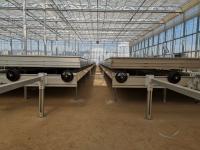 China Agricultural 4*8ft ABS Plastic Hydroponic Flood Tray Growing Racks for sale