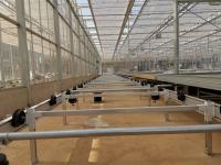 China Agricultural 4*8ft ABS Plastic Hydroponic Flood Tray Growing Racks for sale