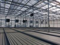 China Agricultural 4*8ft ABS Plastic Hydroponic Flood Tray Growing Racks for sale