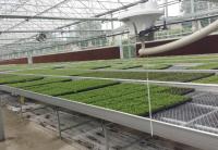 China Agricultural 4*8ft ABS Plastic Hydroponic Flood Tray Growing Racks for sale