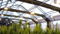 China LED Lighting System Light Deprivation Greenhouse for Automatic Pest Control Needs for sale