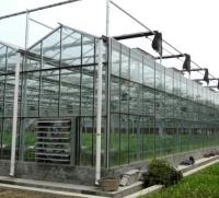 China Hydroponics System Multi Span Glass Greenhouse Aeroponic Tower Garden for sale