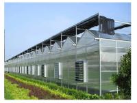 China Venlo Glass Polycarbonate Greenhouse With Seedbed Hydroponic For Tomato Strawberry for sale