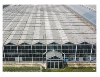 China Rectangular Glass Enclosed Tomato Plant Greenhouse With Wind Resistance for sale