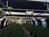 China Hydrophobic Multi Span Tunnel 100% Greenhouse Blackout Curtain Systems for sale