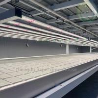 China Advanced Technology Light Deprived Greenhouse for Pest Control for sale