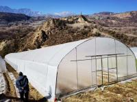 China Sides Ventilation Plastic Tomato Greenhouse Resists Corrosion for sale
