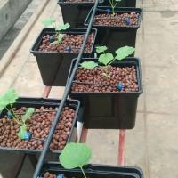 China Agricultural Greenhouse Accessories Plastic Pe Water Supply Drip Irrigation Pipe for sale