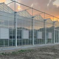 China Rectangular Glass Enclosed Tomato Plant Greenhouse With Wind Resistance for sale