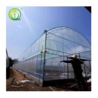China Single Span Tunnel Plastic Film Agricultural Greenhouse High Disaster Resistance for sale