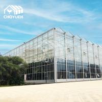 China XXL Rectangular Hydroponics Greenhouse With Glass Walls for sale