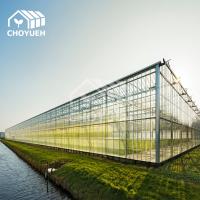 China XXL Rectangular Hydroponics Greenhouse With Glass Walls for sale