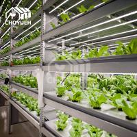 China Hydroponic Multi Layer Vertical Grow Shelf System ABS Cover for sale