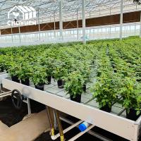 China 1.2mm Greenhouse Benches Rolling Tables Customized Size for sale