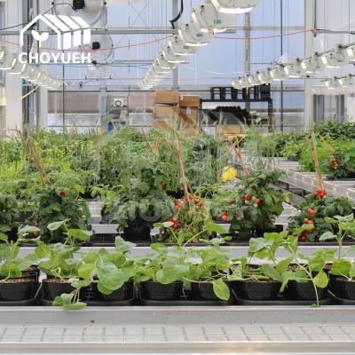 China 1.2mm Aluminum Greenhouse Benches Anodizing Load Capacity 100kg/M2 for sale