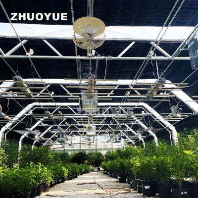China Mushroom Light Deprivation Greenhouse With Hot Dip Galvanized Steel Pipe for sale