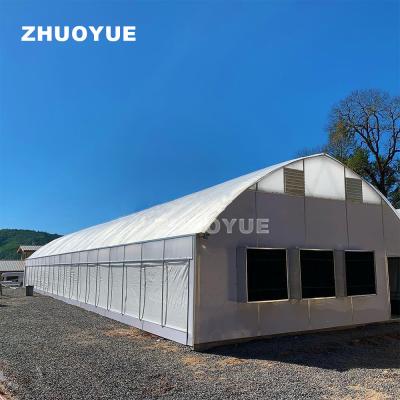 China Advanced Security System and Automatic Air Circulation in Light Deprivation Greenhouse for sale