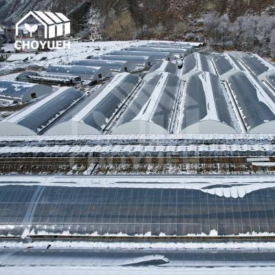 China 4mm Solar Powered Greenhouse High Wind Resistance OEM ODM for sale