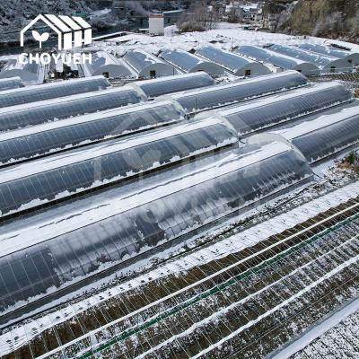 China High Light Transmission Solar Greenhouse With Framed Structure for sale