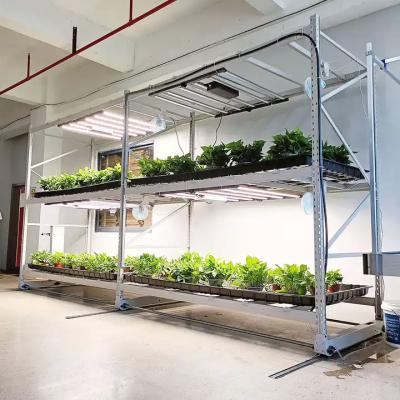 China Hydroponic Rack System Vertical Farming Racks Electrostatic Powder Coating for sale