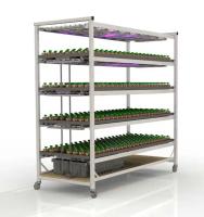 China Static / Mobile Hydroponic Ebb And Flow Tables 4*8ft 4*16ft 4*24ft for sale