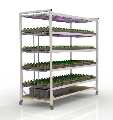 China Greenhouse Hydroponic Vertical Farming Racks Mobile Vertical Grow Racks OEM ODM for sale