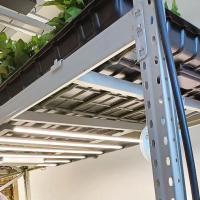 China Multi-purpose Grow Racks Electrostatic Powder Coating Medium Duty Racking system for sale