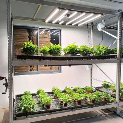 China Multi-purpose Grow Racks Electrostatic Powder Coating Medium Duty Racking system for sale