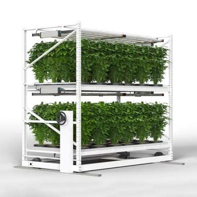 China Greenhouse Rolling Bench System Farming Seedling Bed 8/16/24/32ft for sale