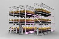 China Hydroponic Rack System Vertical Farming Racks Electrostatic Powder Coating for sale