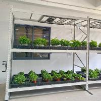 China Hydroponic Stackable 4x8 Ebb And Flow Table For Agricultural for sale