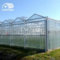 China Rectangular Glass Enclosed Plant House The Best Choice for Your Greenhouse for sale