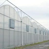 China Wind Resistance Multi Span Plastic Film Tunnel Greenhouse With Ventilation System for sale