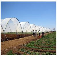 China Wind Resistance Multi Span Plastic Film Tunnel Greenhouse With Ventilation System for sale