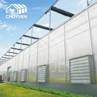 China Versatile Polycarbonate Sheet Greenhouse Weather Resistance Customization for sale